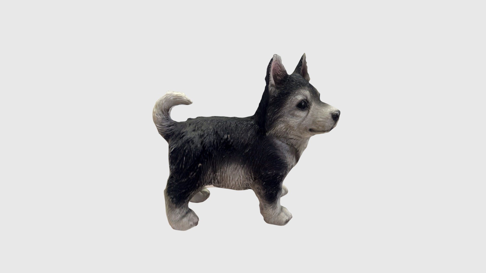 Husky - Download Free 3D model by kamesenlin [43d0731] - Sketchfab