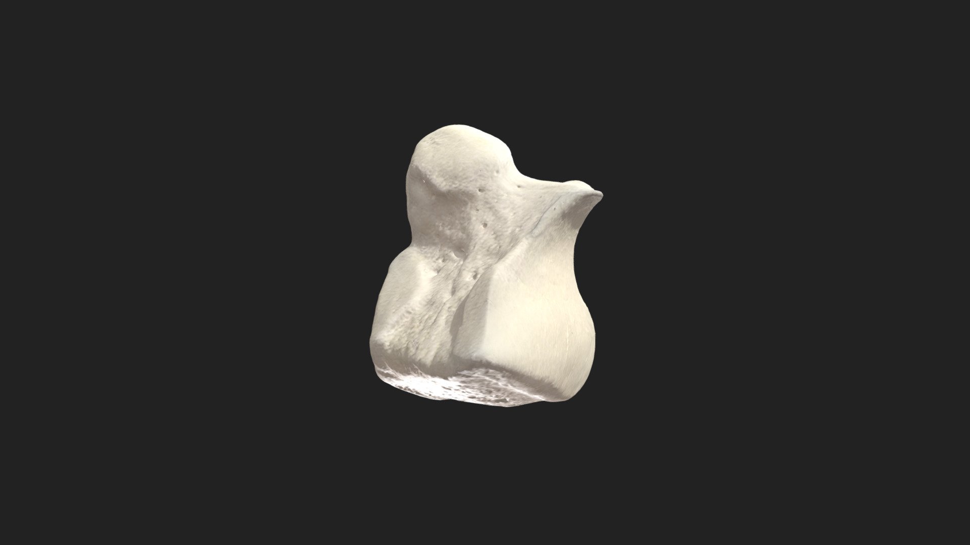 lunate bone (os carpi intermedium) donkey - 3D model by vetanatMunich ...