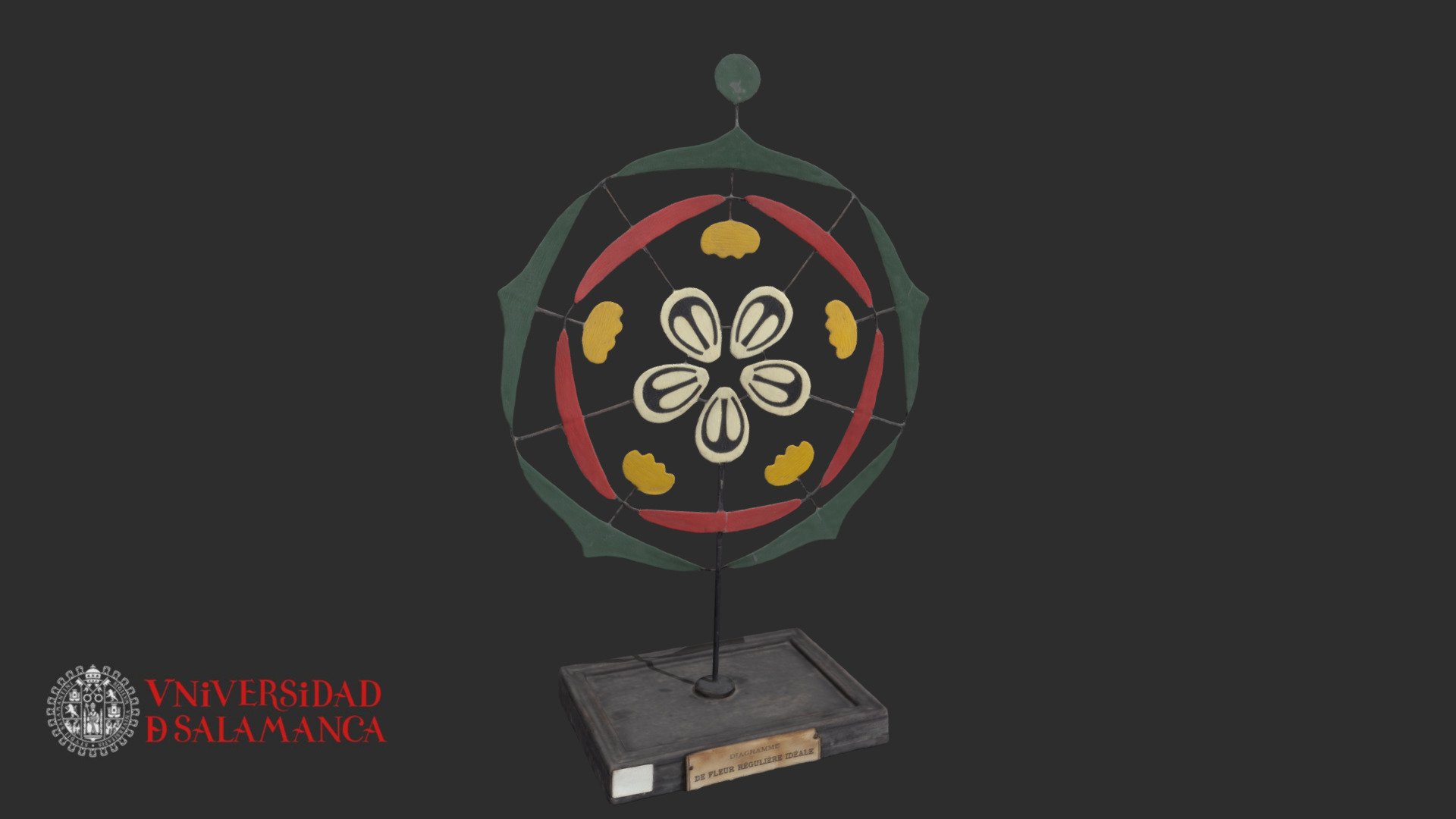 Diagrama de una flor regular ideal - 3D model by Emanuel Sterp Moga ...