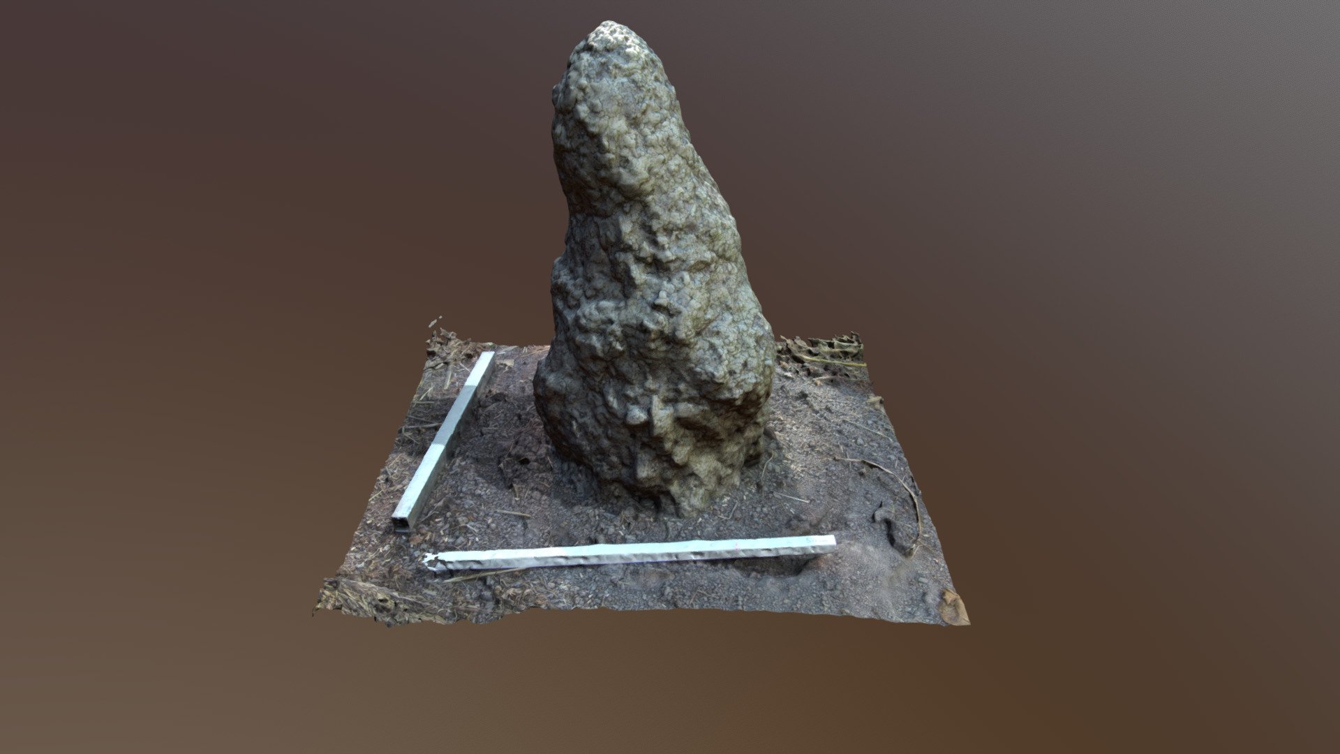 Termite mound Ms7-2016 - 3D model by pnauer [43d53de] - Sketchfab