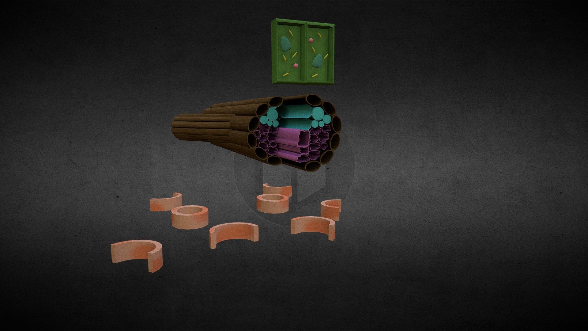 Photosynthesis Leaf - Buy Royalty Free 3D model by arloopa [43e368d ...