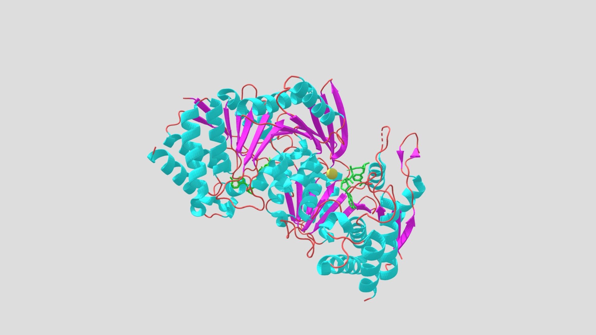 Isocitrate Dehydrogenase (IDH3) - Download Free 3D model by peanutbear ...