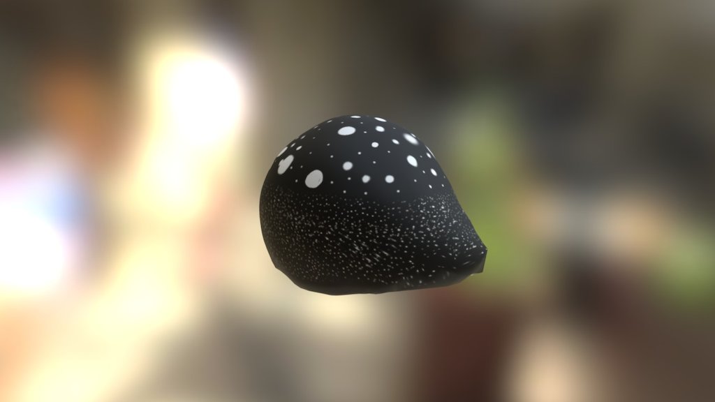 3D Shell - 3D model by tonga8 [43e97c4] - Sketchfab