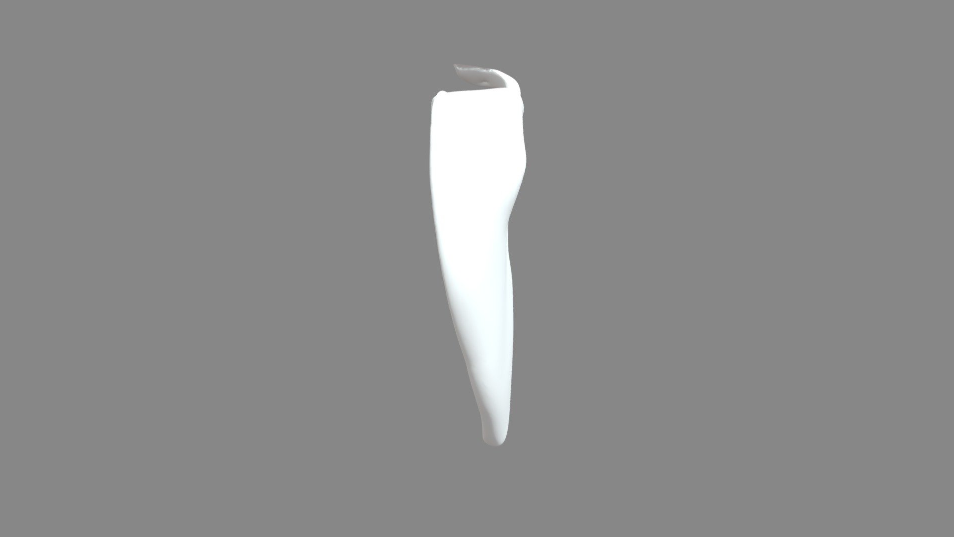 Shoulder Blade - Download Free 3D model by Team Skeleton Wars ...