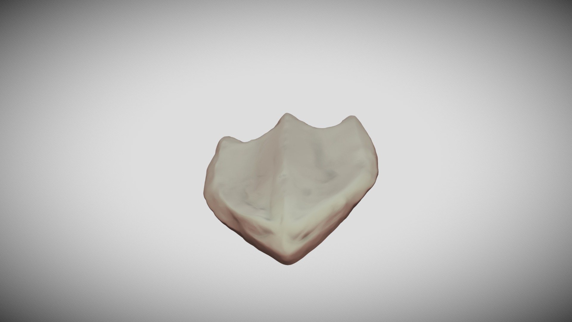 Placoid Scale V01 - 3D model by luiscarloscg [43ebeae] - Sketchfab