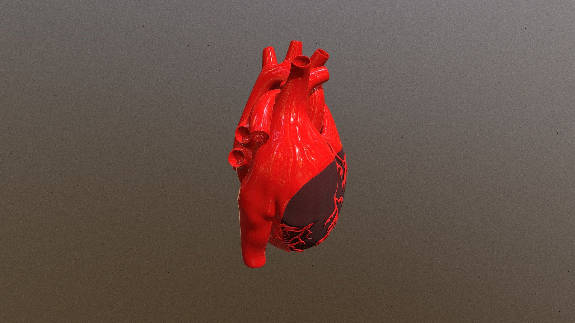 Human Heart_OBJ - Download Free 3D model by jayemerson [43ec20f ...