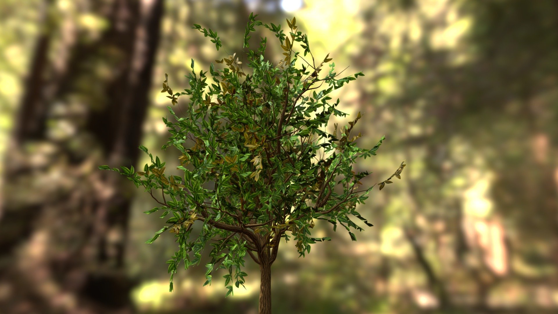 Low poly stylized tree - Download Free 3D model by Simon Laisné ...