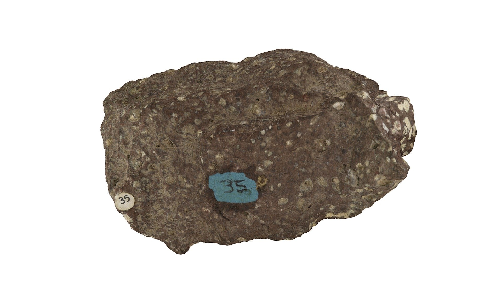 Amygdaloidal Basalt #35 - Download Free 3D model by rocksandminerals ...