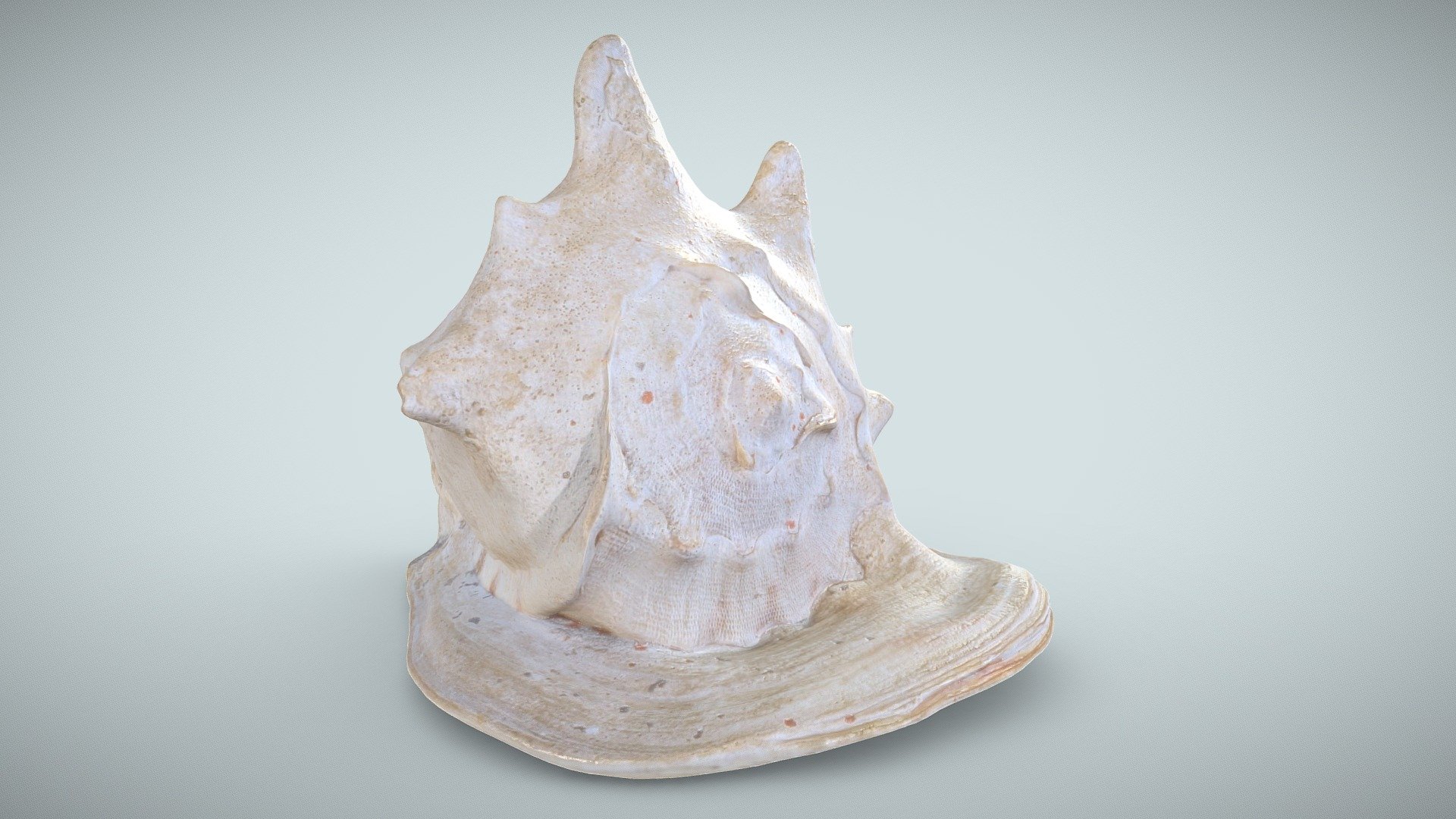 Horned helmet shell - Download Free 3D model by Fuji (@fujisan ...