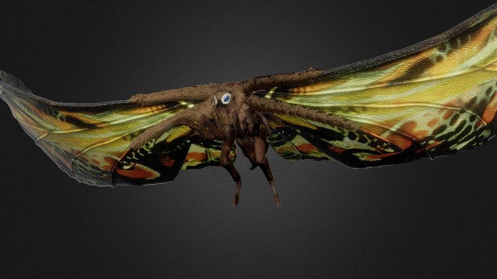 Butterfly 3D models - Sketchfab