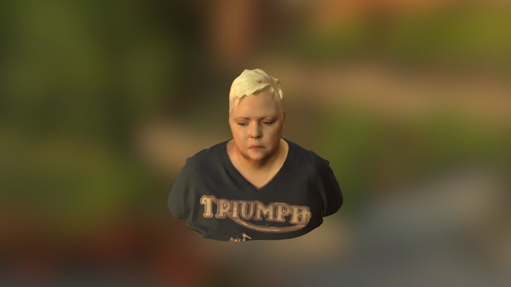 dr1 - 3D model by richmccomas [4409a27] - Sketchfab