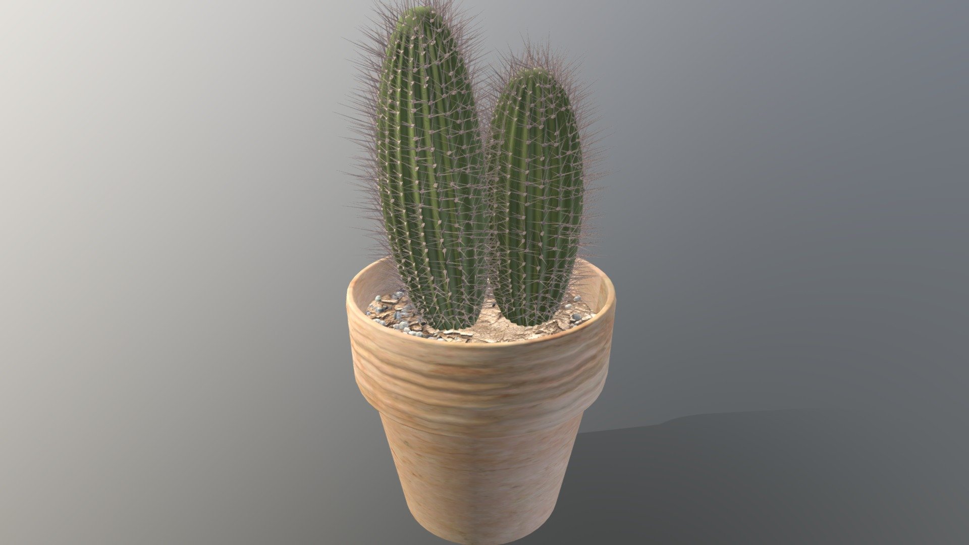 CACTUS + (UV) - Download Free 3D model by shatlykxfree [440cbd0 ...
