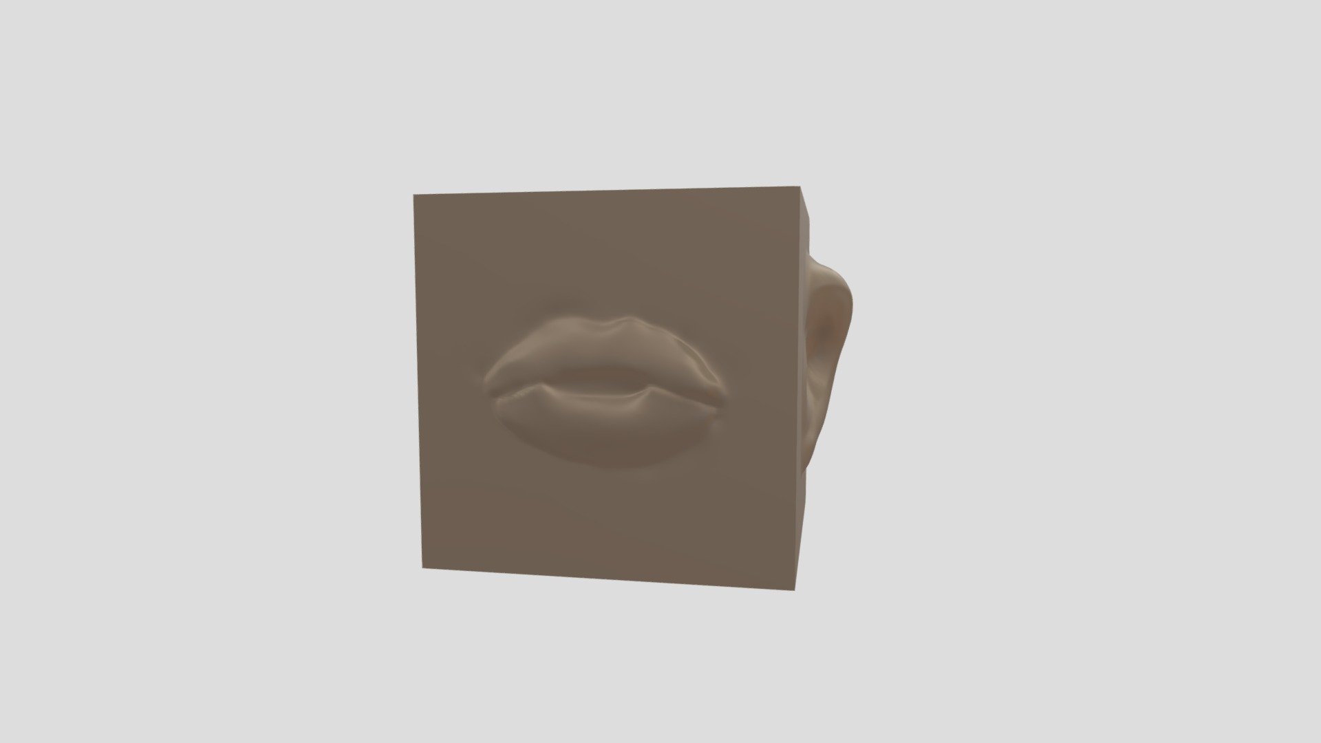 HeatherBautista Anatomy Cube 001 - 3D model by Heather (@hbautista0009 ...