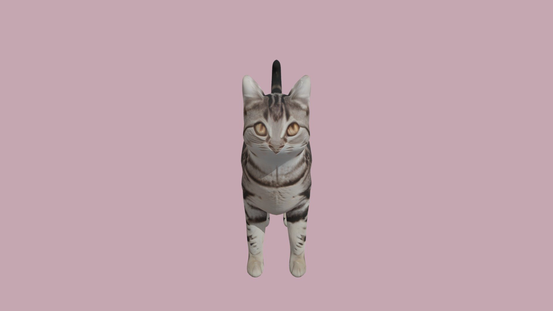 Cat - Download Free 3D model by ricardolduarte [4418672] - Sketchfab