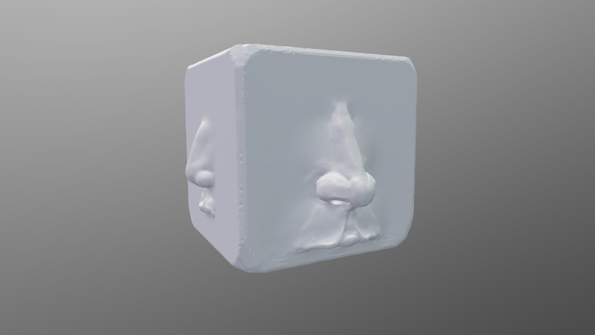 Nose Study - 3D model by odunov [441e128] - Sketchfab