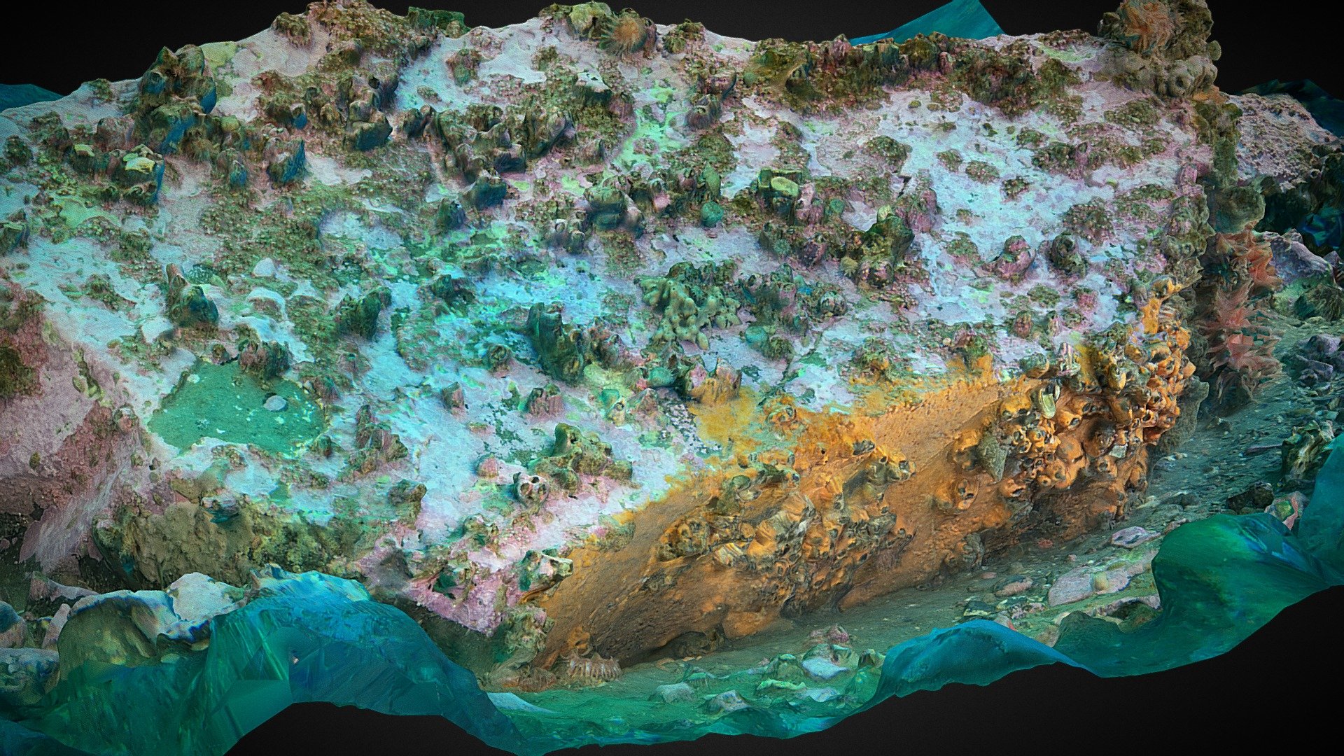 Arctic circalittoral rock, Spitsbergen 78°N [v2] - 3D model by ...