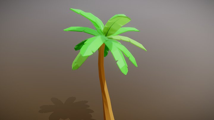 Coconut 3D models - Sketchfab