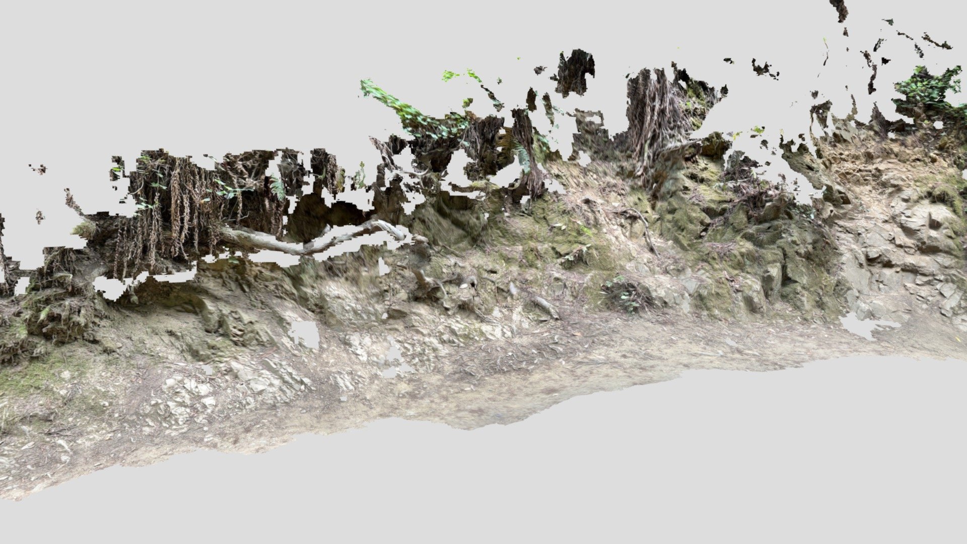 muir 05 - Download Free 3D model by pixeldog4ever [4424144] - Sketchfab
