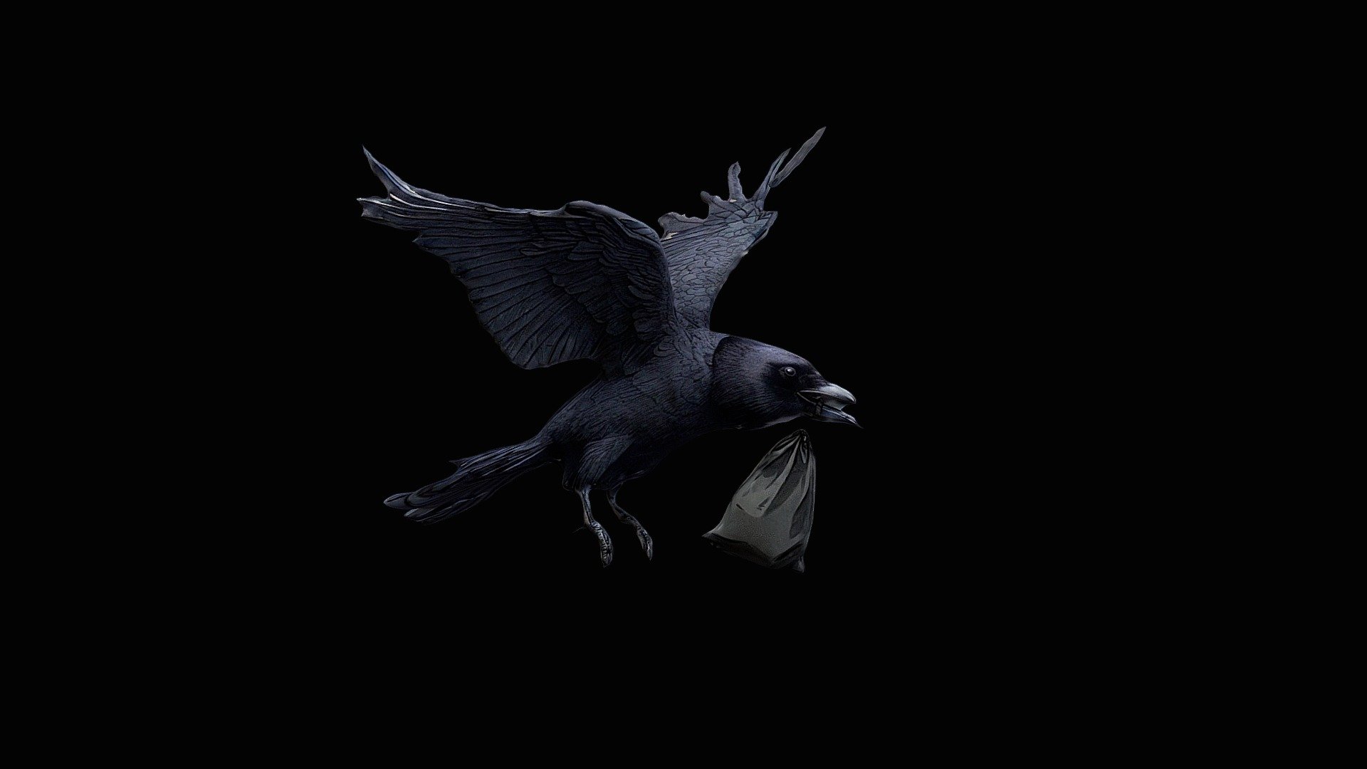 crow - Download Free 3D model by HollyPolya [44281c3] - Sketchfab