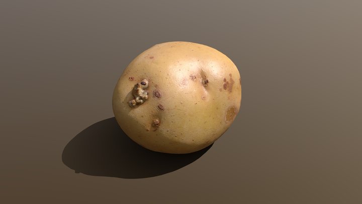 Potatoes 3D models - Sketchfab