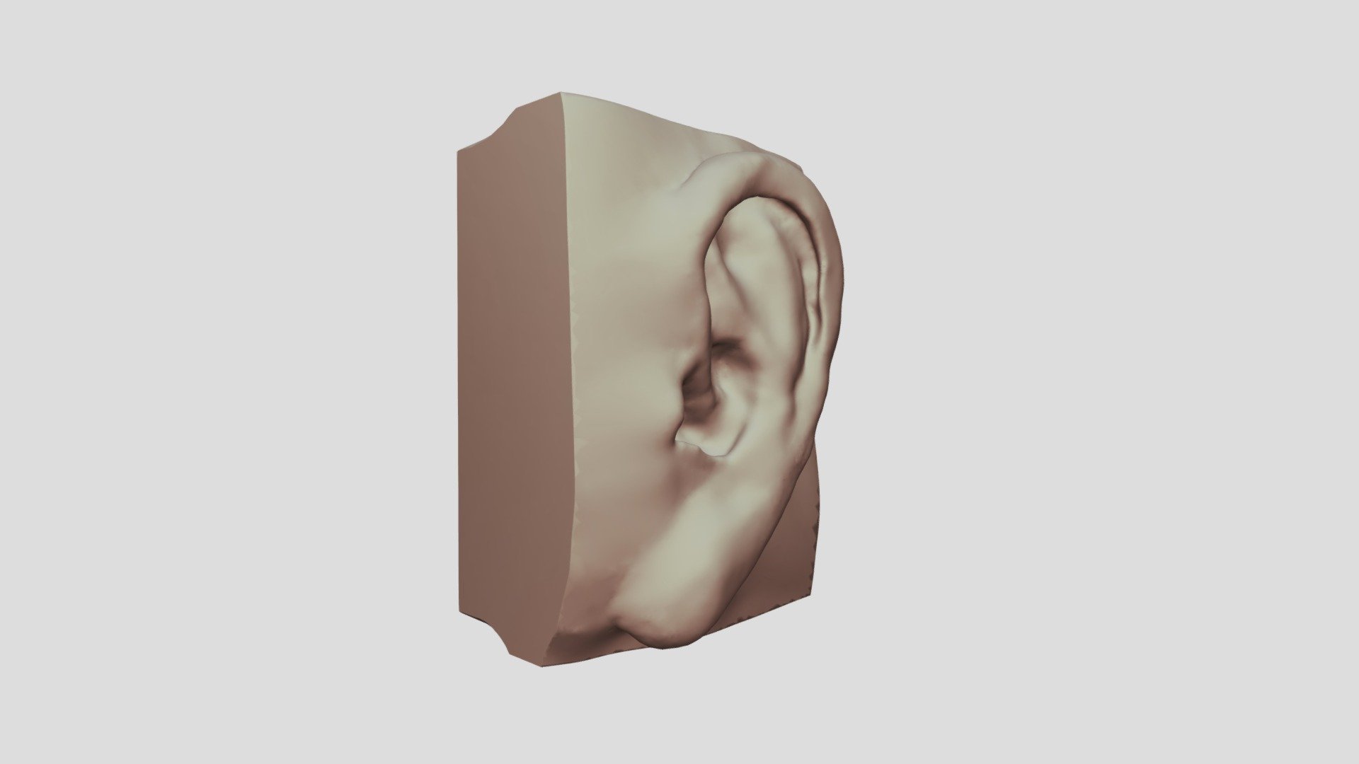 Anatomy Practice Day 2 - Download Free 3D model by Scorange3D [442c8d2 ...