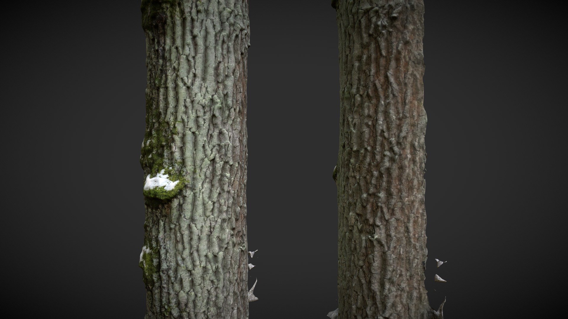 tree bark photogrammetry test - 3D model by lukaszukszymon [4431ddb ...