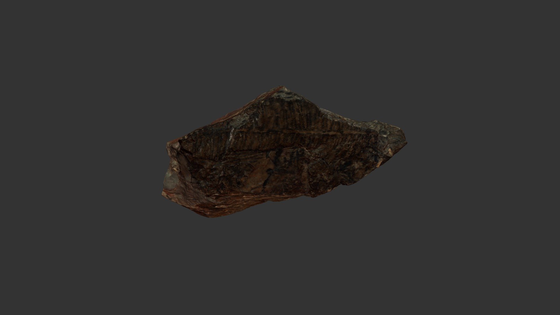 Pecopteris propinqua - Download Free 3D model by Scarborough Museums ...