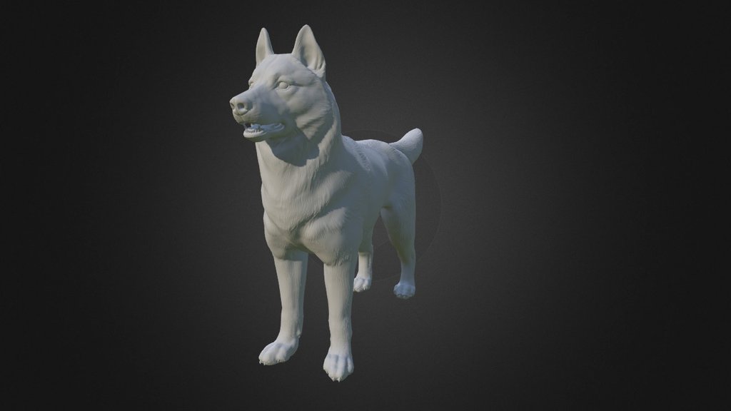 Husky high-poly model - 3D model by Anastasiya Konkina (@laddary ...