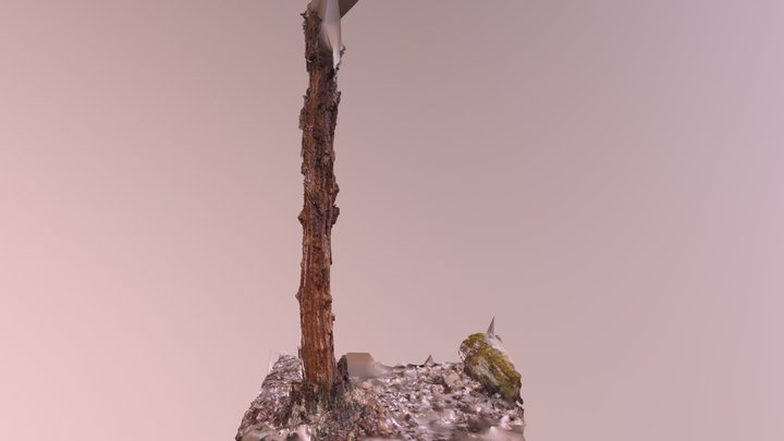 Termite 3D models - Sketchfab