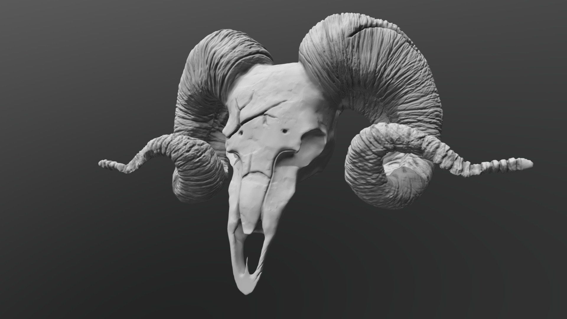 Ram Skull - 3D model by erikacope [4445b97] - Sketchfab