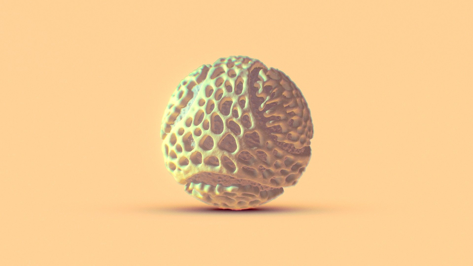 Passion flower pollen grain - Buy Royalty Free 3D model by PARSONSARTS ...
