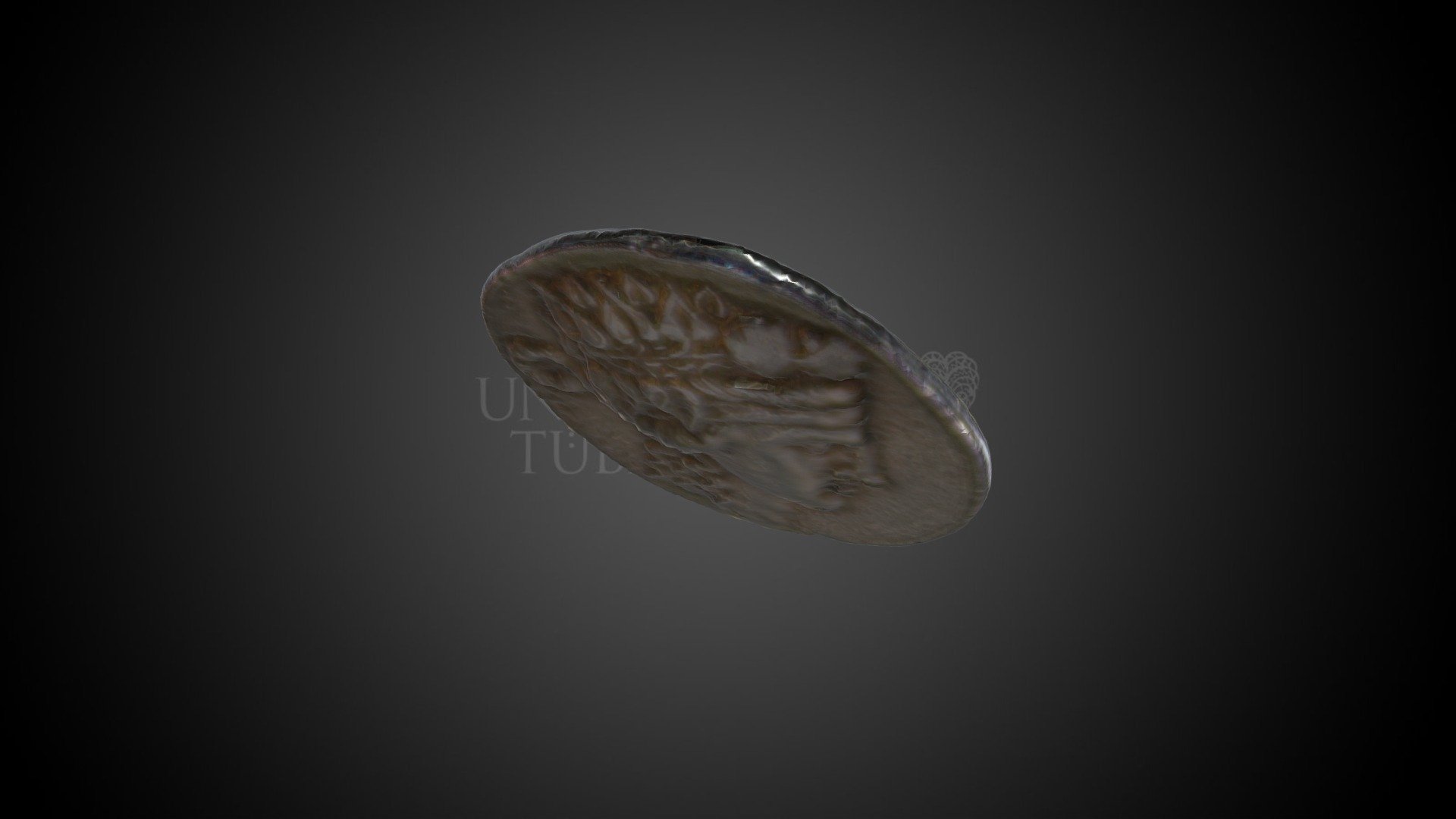 SNG 947 - 3D model by Digital Humanities Center (@dh-center-tuebingen ...