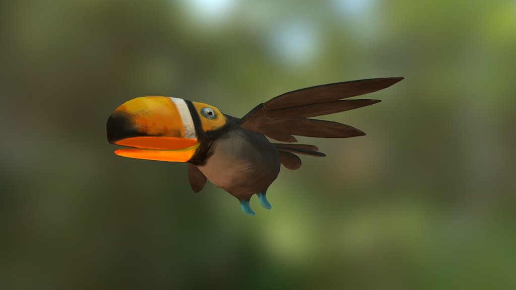 Toucan - 3D model by owlandfoxgames (@owlandfox) [445936d] - Sketchfab