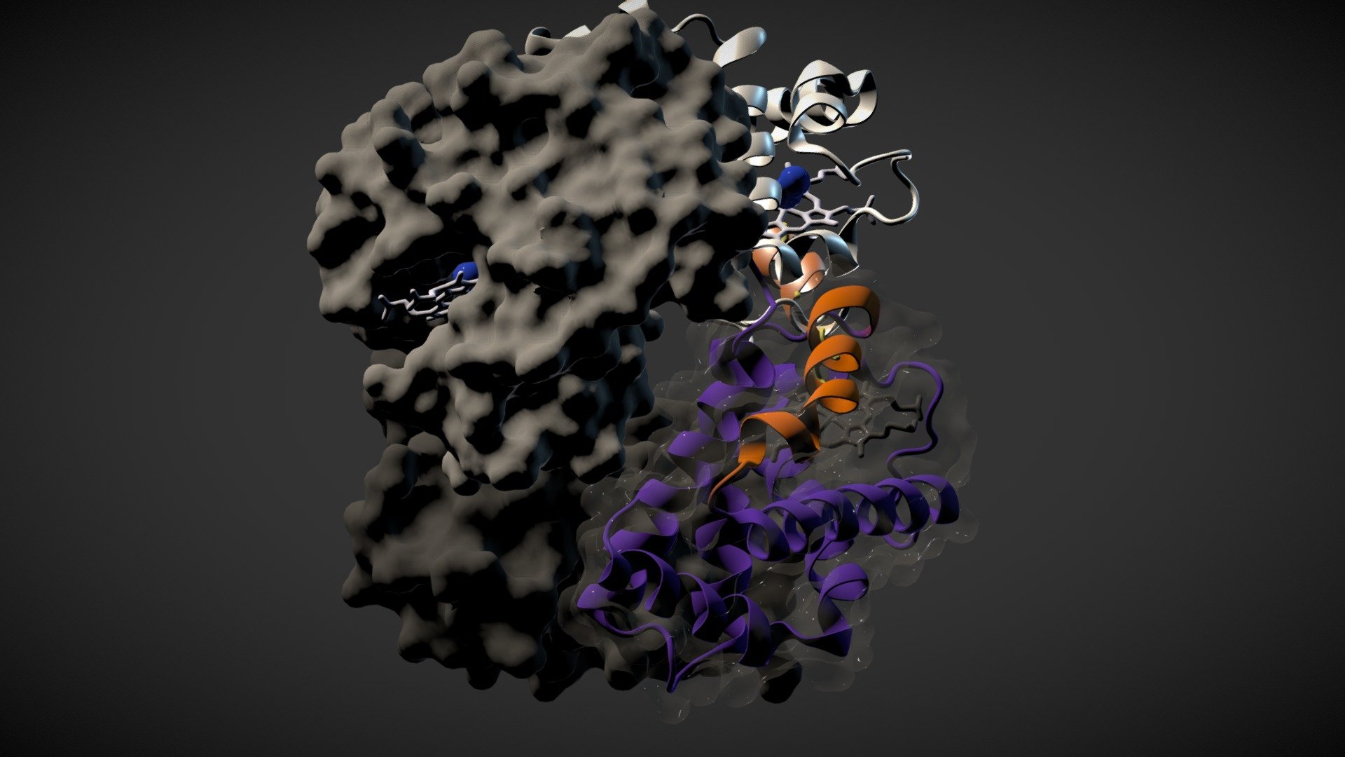 Human Deoxyhemoglobin Oxyhemoglobin - Buy Royalty Free 3D model by Ivan ...