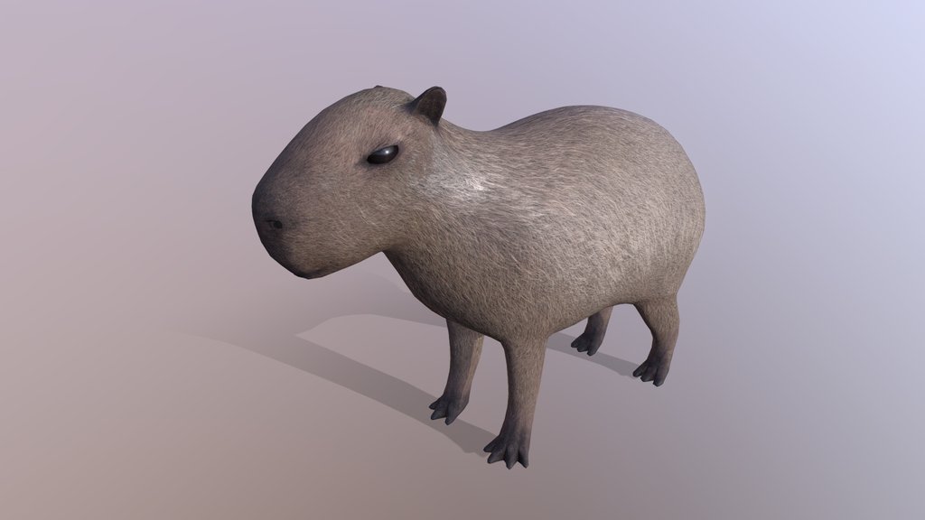 Capybara - A 3D model collection by carlosloggiodice - Sketchfab