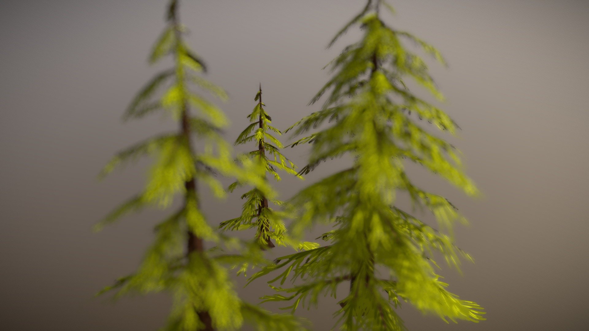 Stylized Pine Trees - 3D model by mihovaK [4461587] - Sketchfab