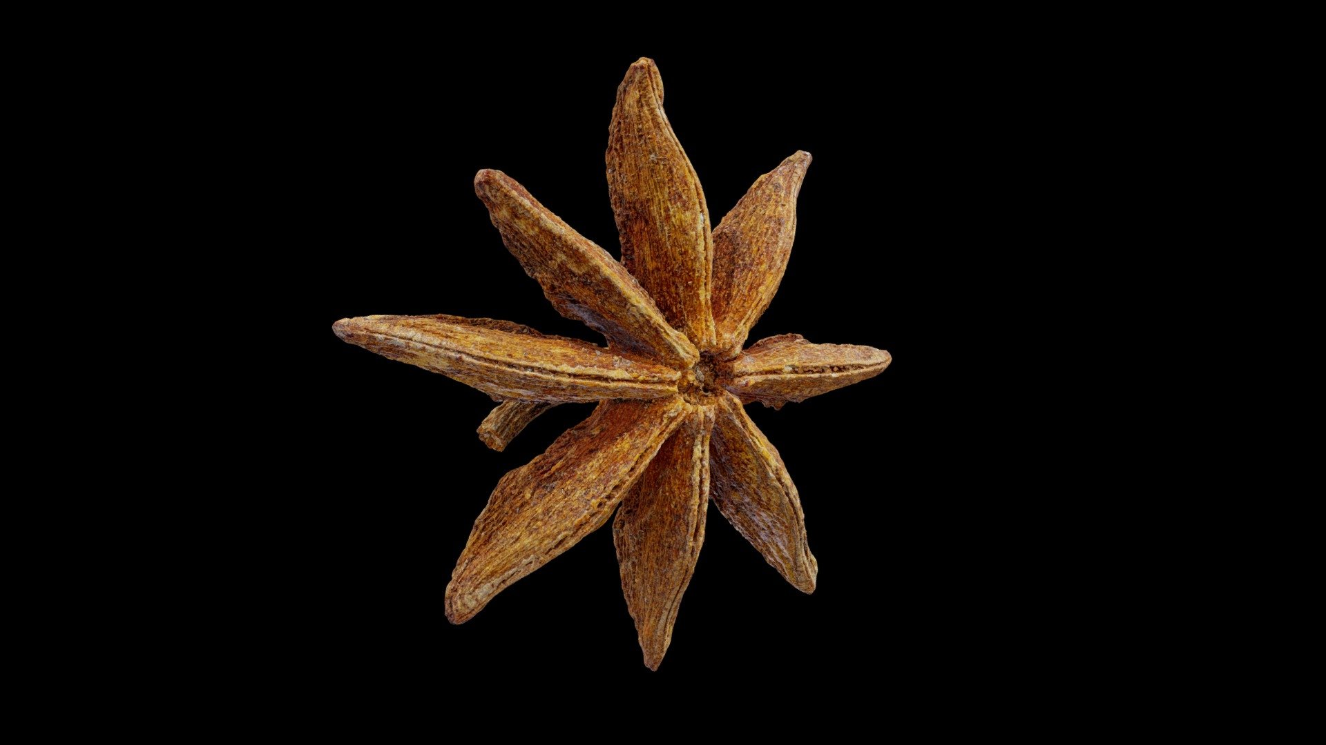 Anise Macro Photogrammetry - Download Free 3D model by Stephan Buth ...