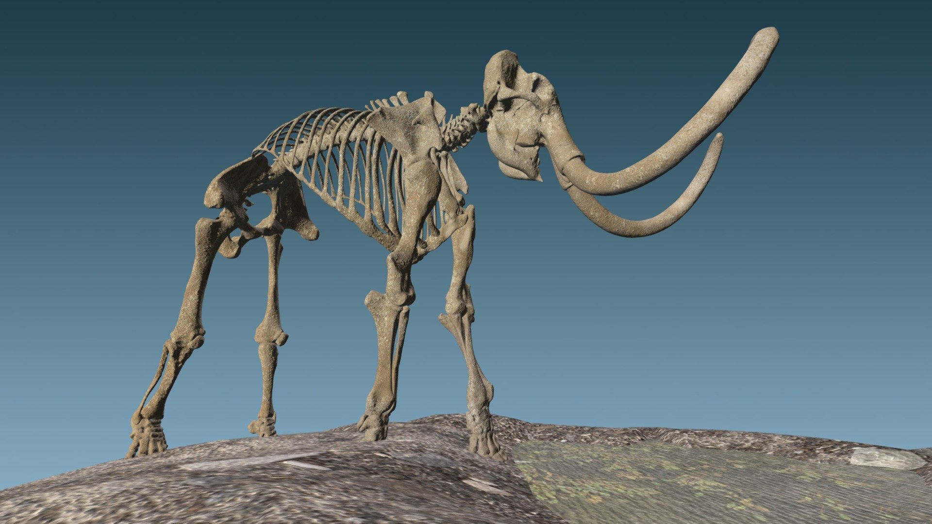 Mammut-test - 3D model by VISUALISER (@lpdenmark) [4466673] - Sketchfab