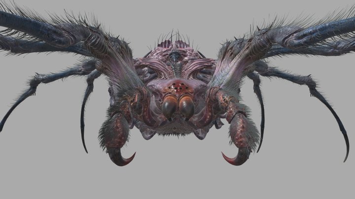 Spider 3D models - Sketchfab
