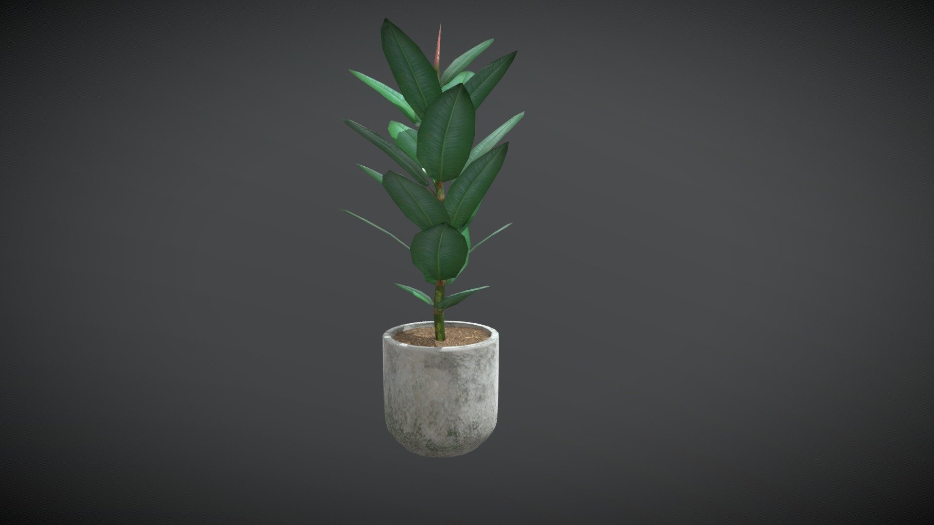 plant die animation - 3D model by Mohamed Fathi (@MohamedFathi ...