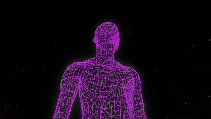 Wireframe 3D models - Sketchfab