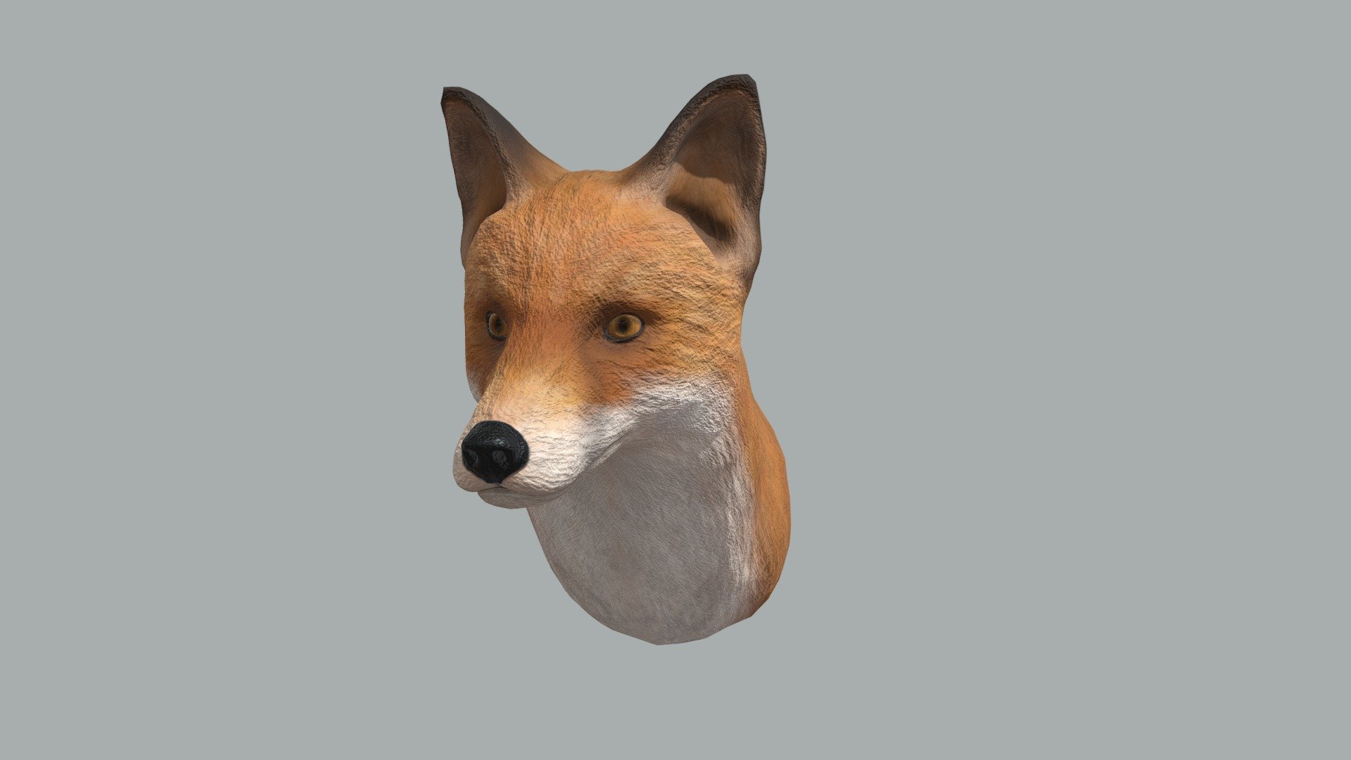Fox Bust - Milestone 3 - 3D model by cmillikan [44807a9] - Sketchfab