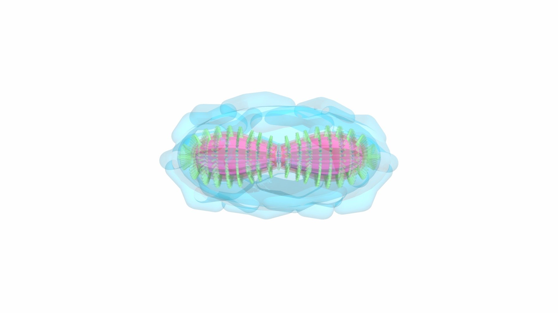 Smallpox Virus - Download Free 3D model by Liam, Jack, Chris, and Eli ...