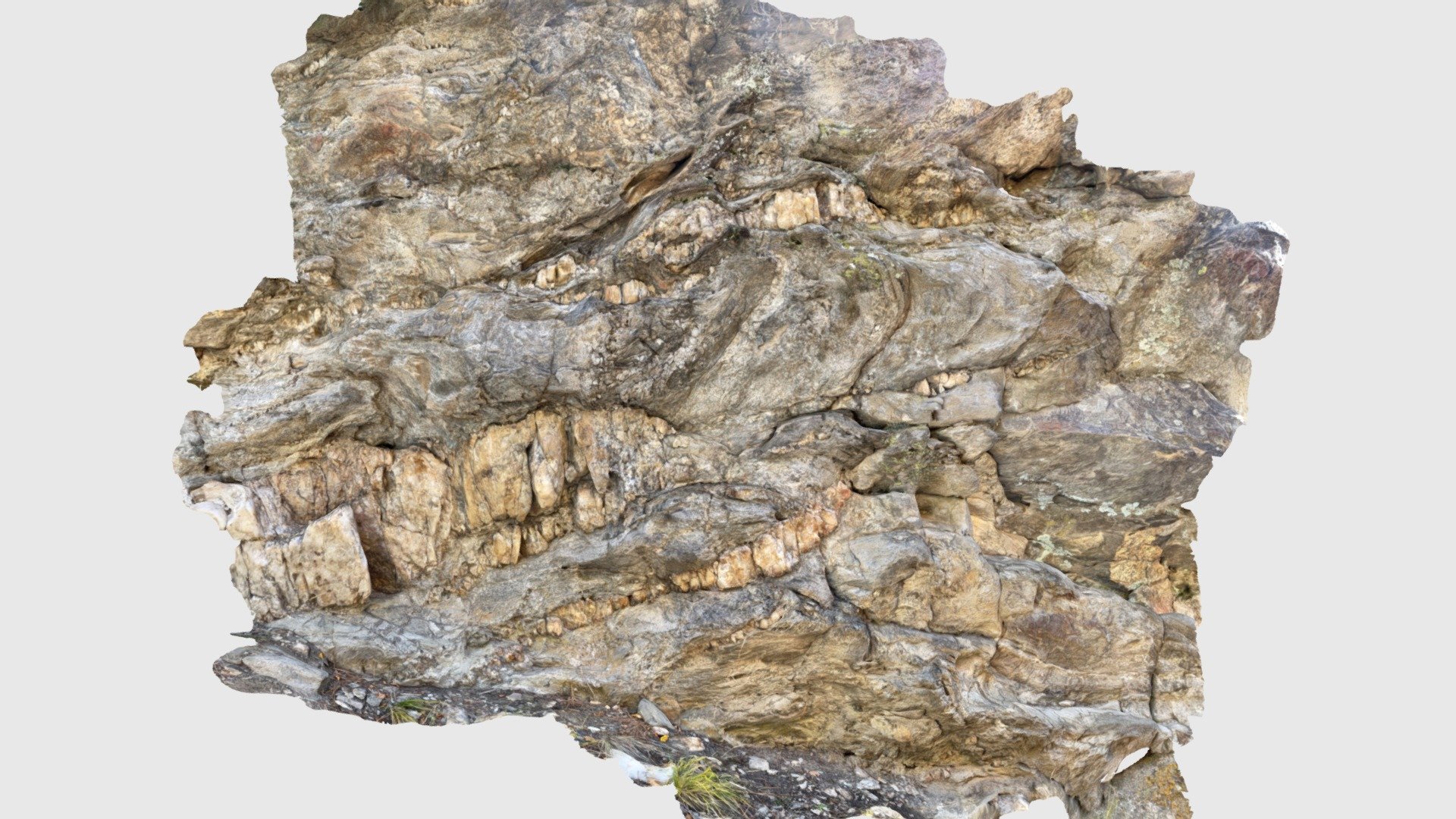 Wrinkled Rock - Veiny - Download Free 3D model by lynne.elkins [449244c ...