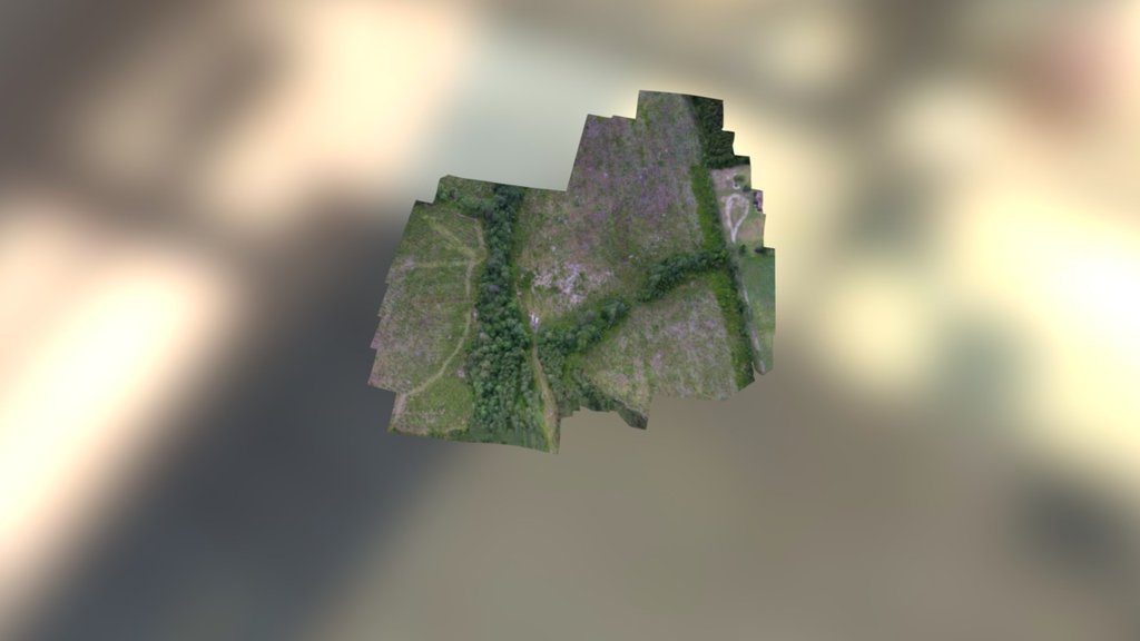 Timber Stream Side Management Zones - Download Free 3D model by Travis ...