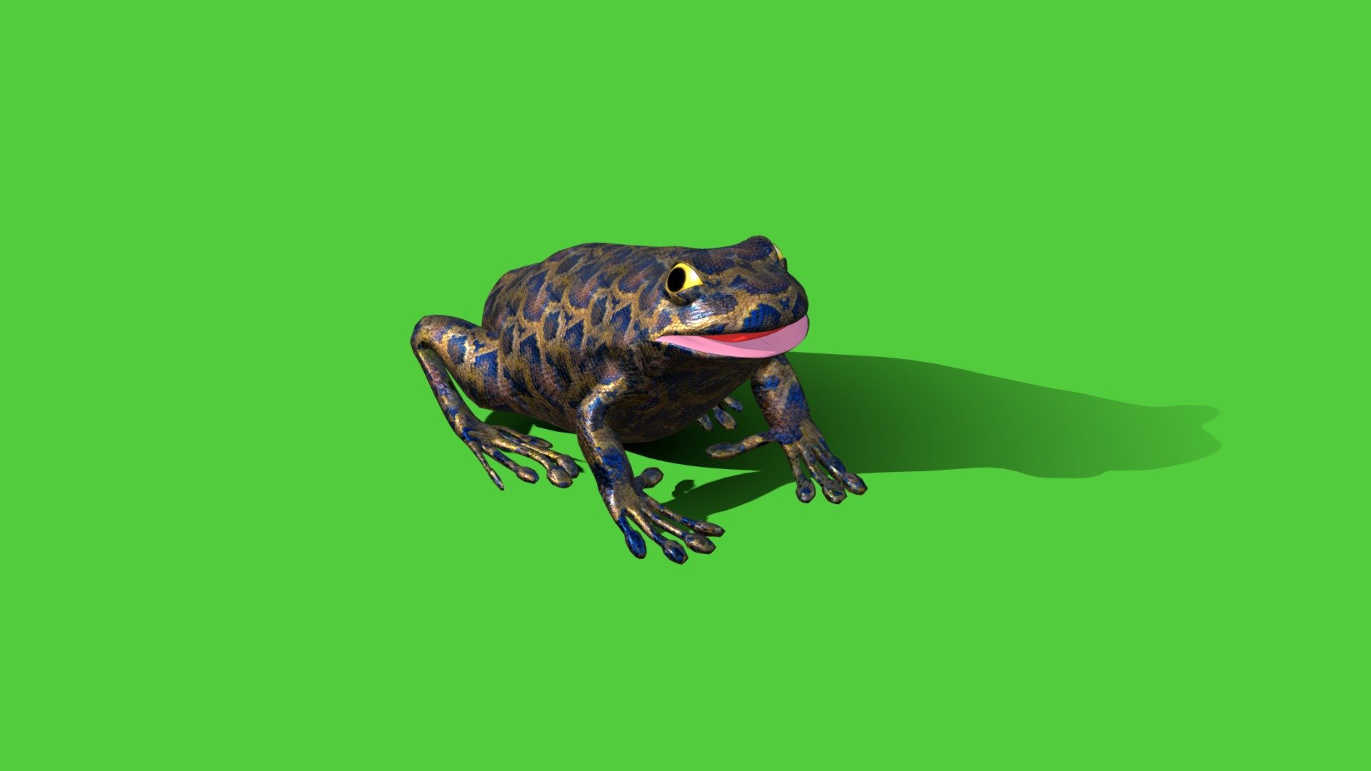 Frog - Buy Royalty Free 3D model by rhcreations [44a3ed3] - Sketchfab Store