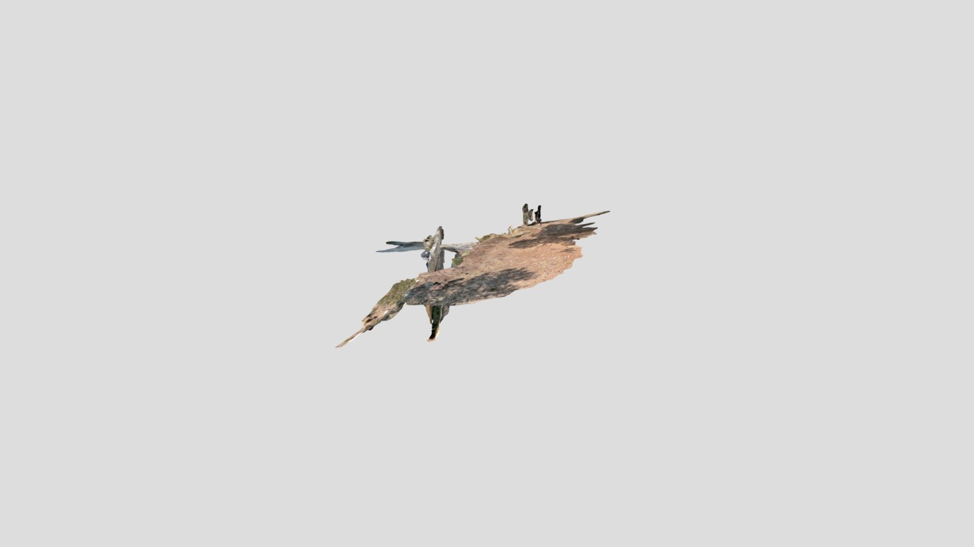 Polycam capture - Download Free 3D model by lolobaba68 [44a5afa ...
