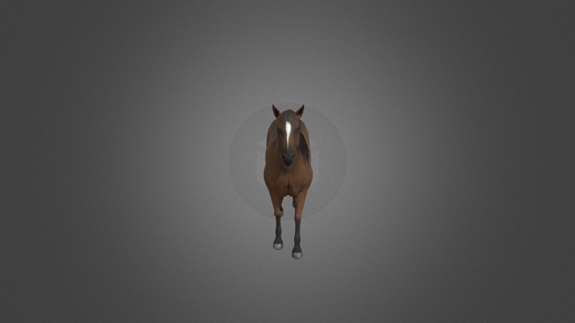 my_animated_horse - 3D model by carinedd [44a5e1d] - Sketchfab
