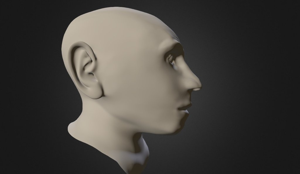 Neanderthal Face - 3D model by ezlok [44a6f16] - Sketchfab