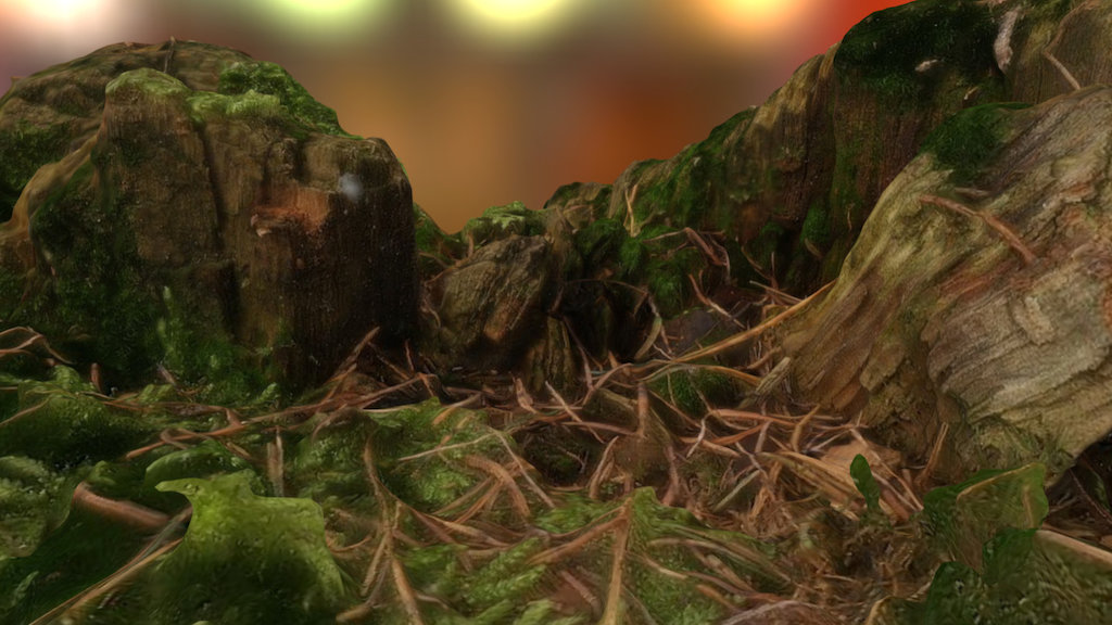 Nature - A 3D model collection by Josh Dunlop (@joshdunlop) - Sketchfab